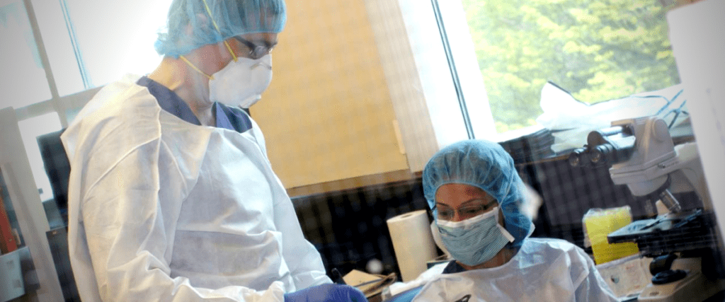 Emergency Response Fund | Pacific Public Health Foundation